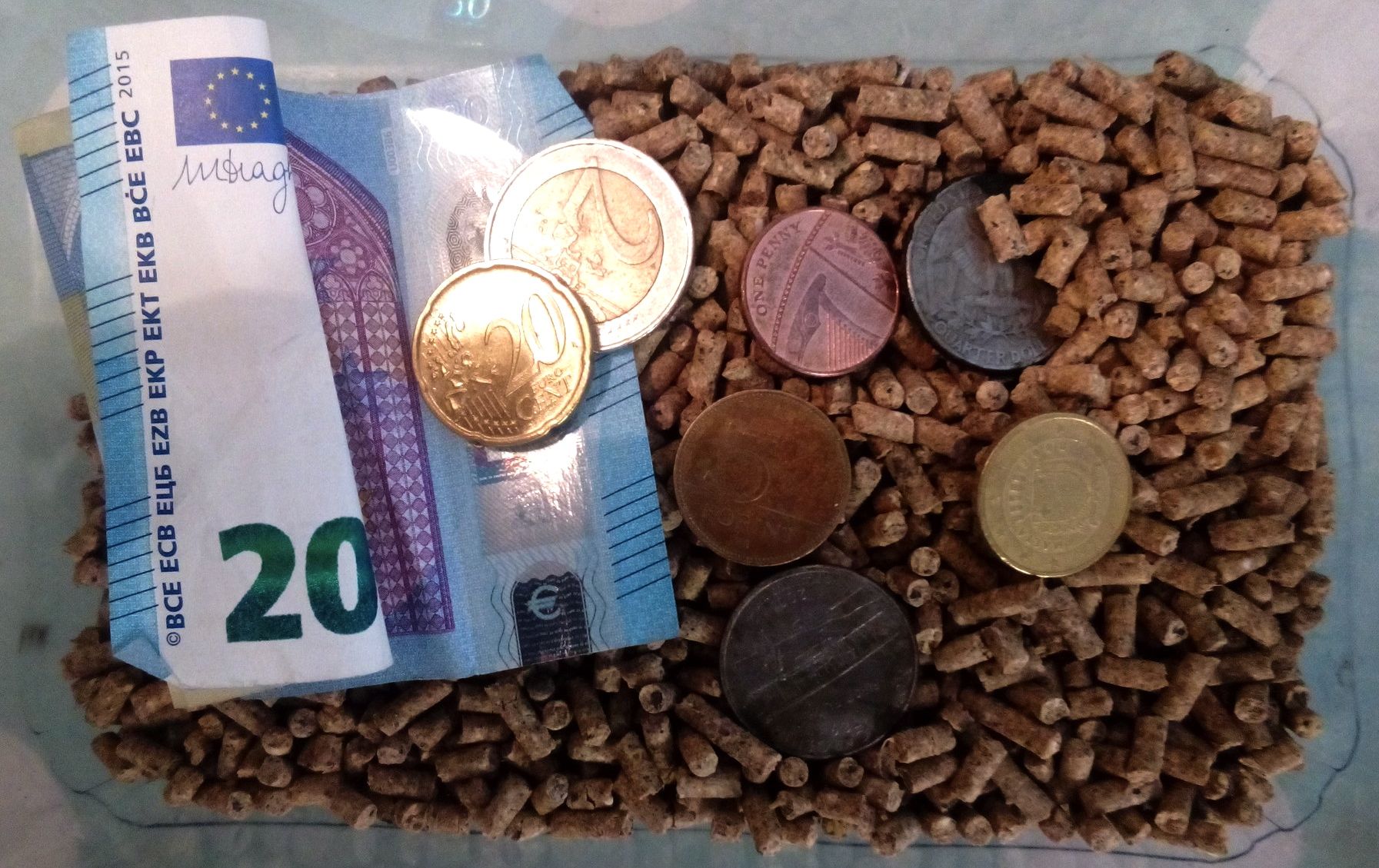 11 Ways to save money on chickens' feed | BackYard Chickens - Learn How ...