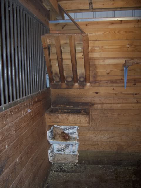 Barn Chickens Housing | BackYard Chickens - Learn How to Raise Chickens
