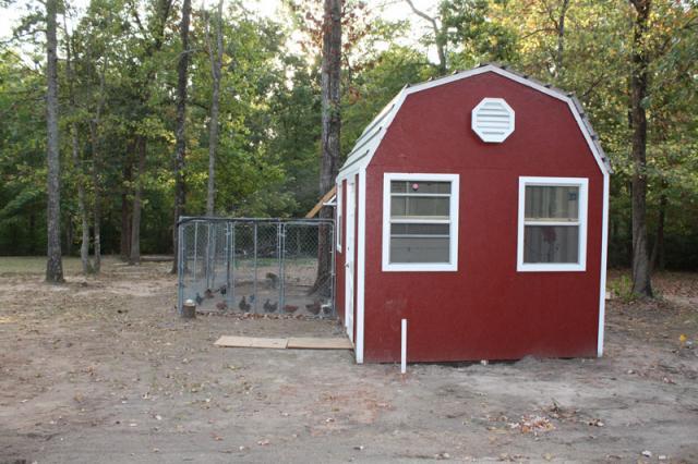 Barn Style Coop W Storage | BackYard Chickens - Learn How to Raise Chickens