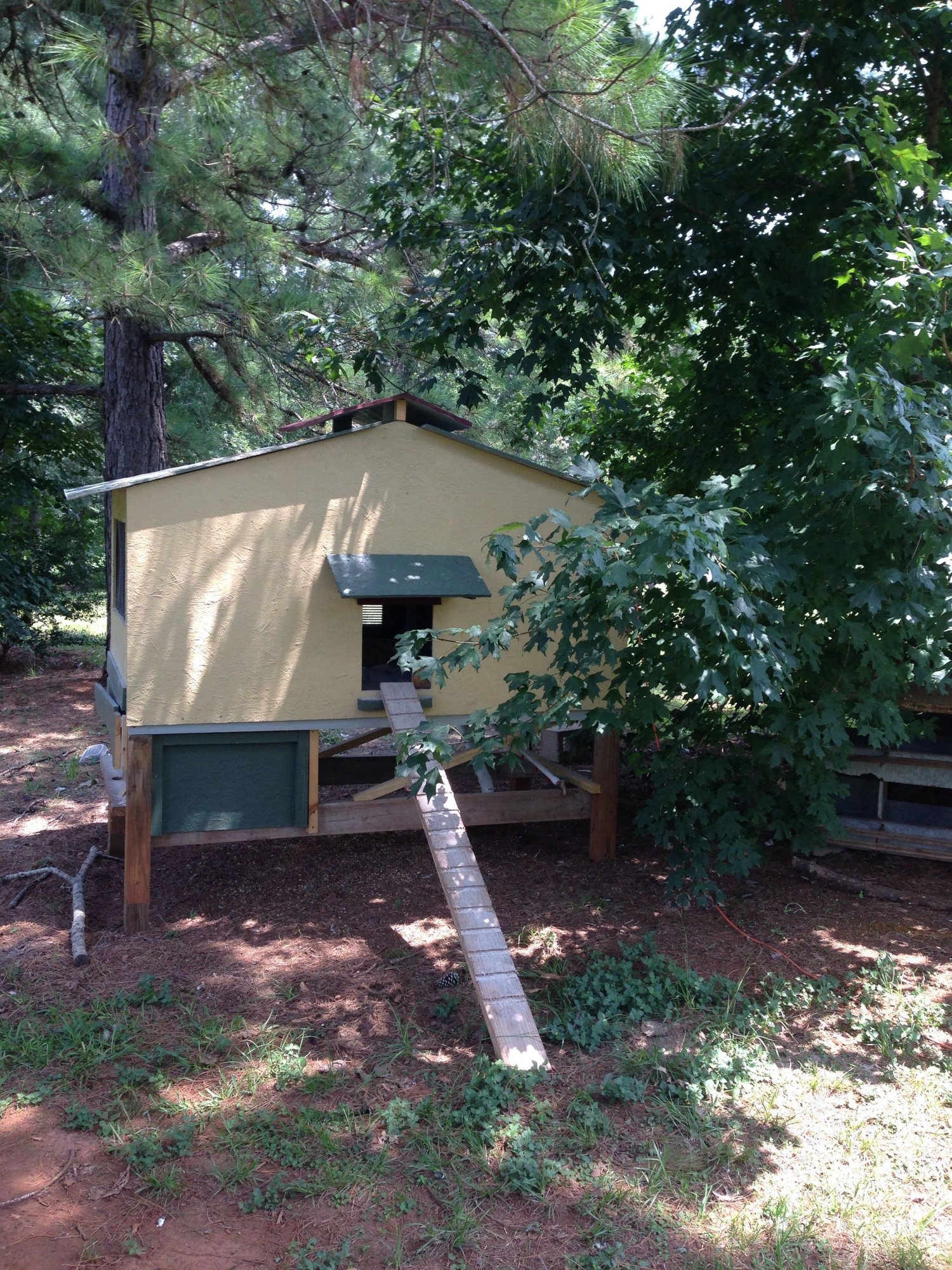 Barnaby's Bird Barn | BackYard Chickens - Learn How to Raise Chickens