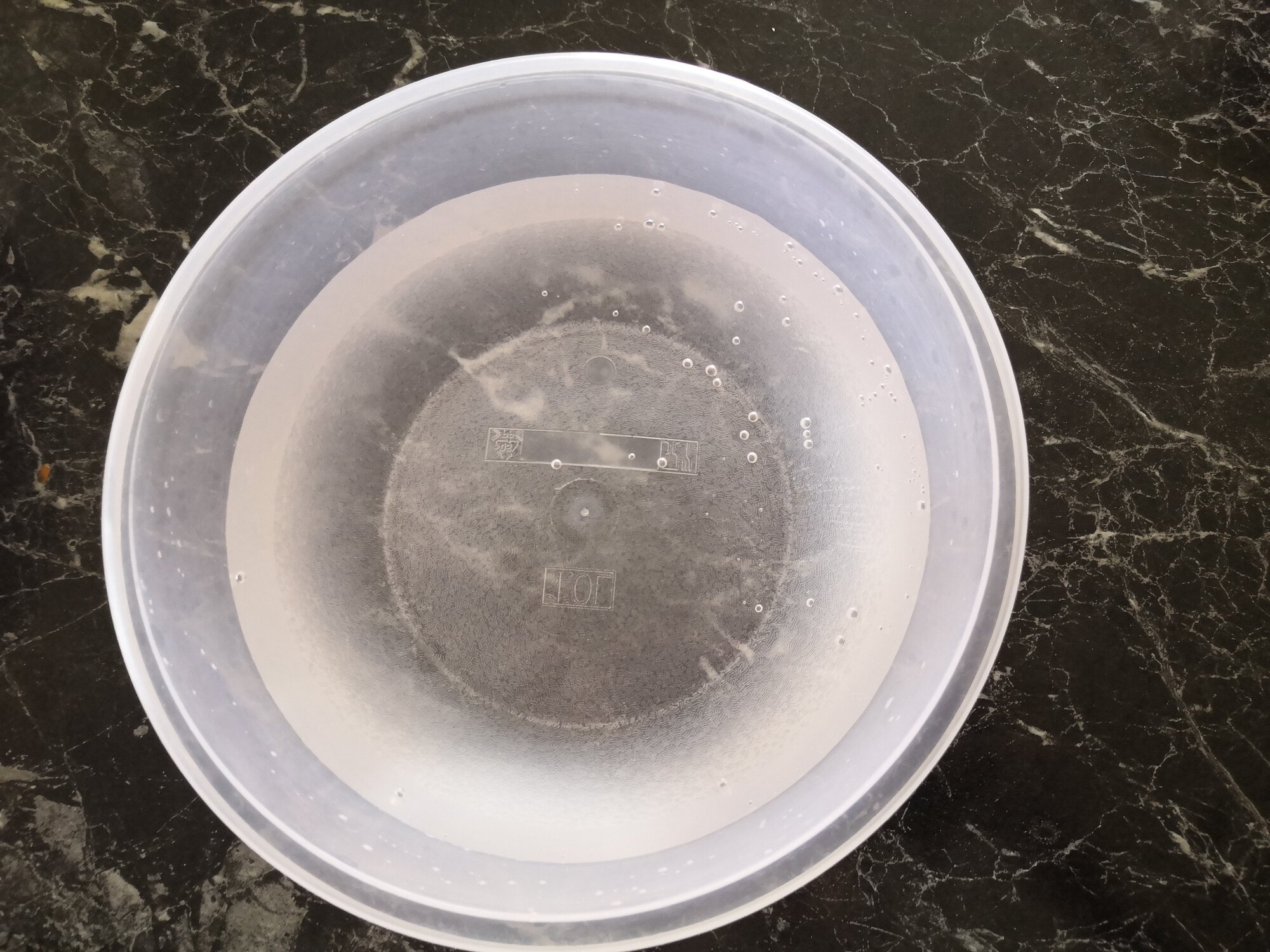 Berry&Herb Chicken slushie | BackYard Chickens - Learn How to Raise ...