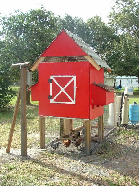 Biddys Barn Our First Coop Backyard Chickens Learn How To Raise Chickens
