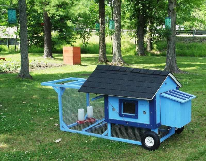 Bkeees Chicken Tractor | BackYard Chickens - Learn How to Raise Chickens