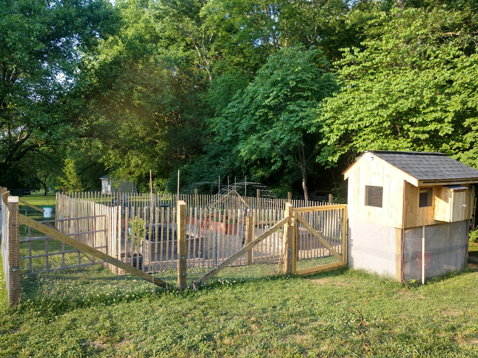 Bugs Beware; there are chickens in the garden moat | BackYard Chickens ...