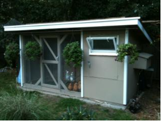 Capecodjohns Chicken Coop | BackYard Chickens - Learn How to Raise Chickens