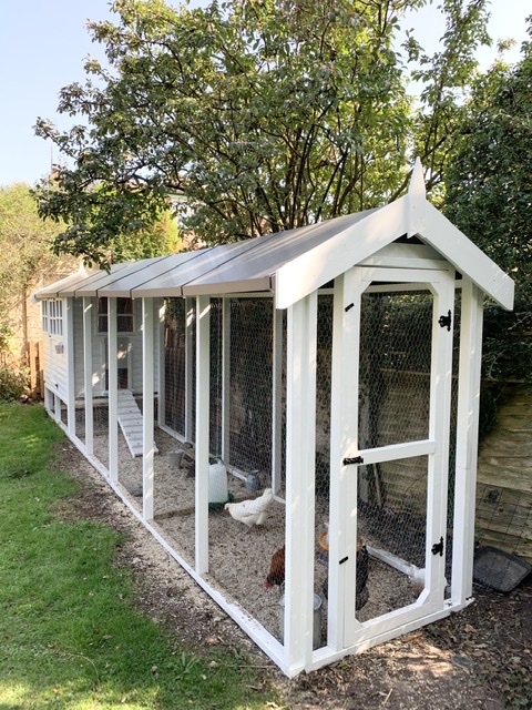 Chicken Coop Project - the chickens like it! | BackYard Chickens ...