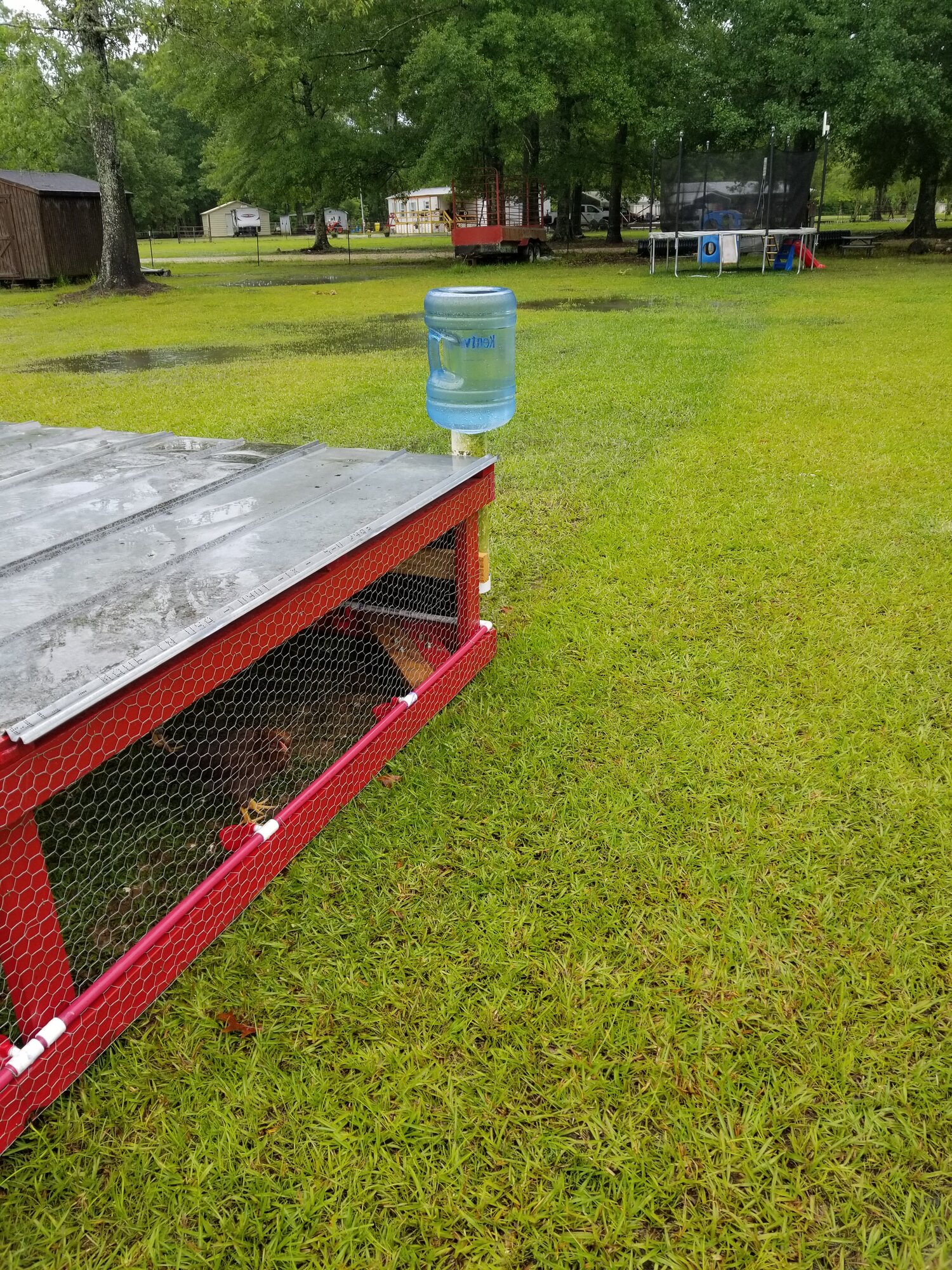 Chicken tractor | BackYard Chickens - Learn How to Raise Chickens