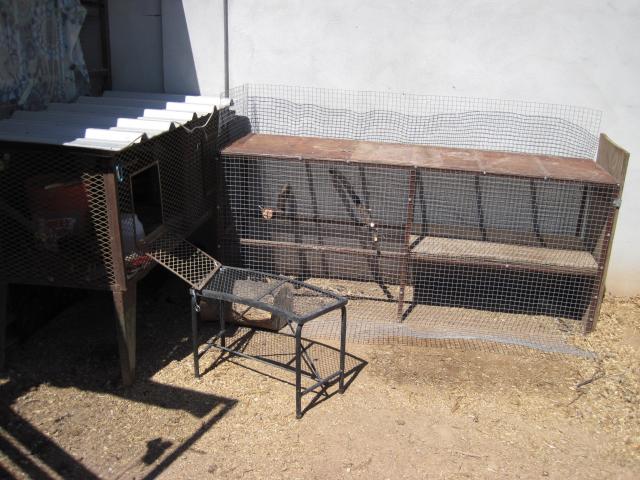 Chicks Like Garden Benches | BackYard Chickens - Learn How to Raise ...