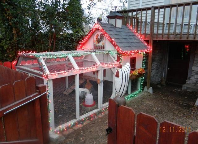 Christmas Coop Lights | BackYard Chickens - Learn How to Raise Chickens