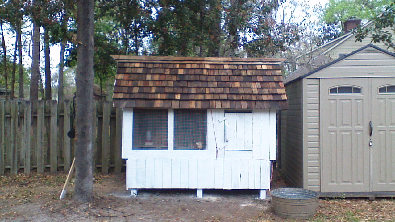 Coastal Cottage Coop | BackYard Chickens - Learn How to Raise Chickens