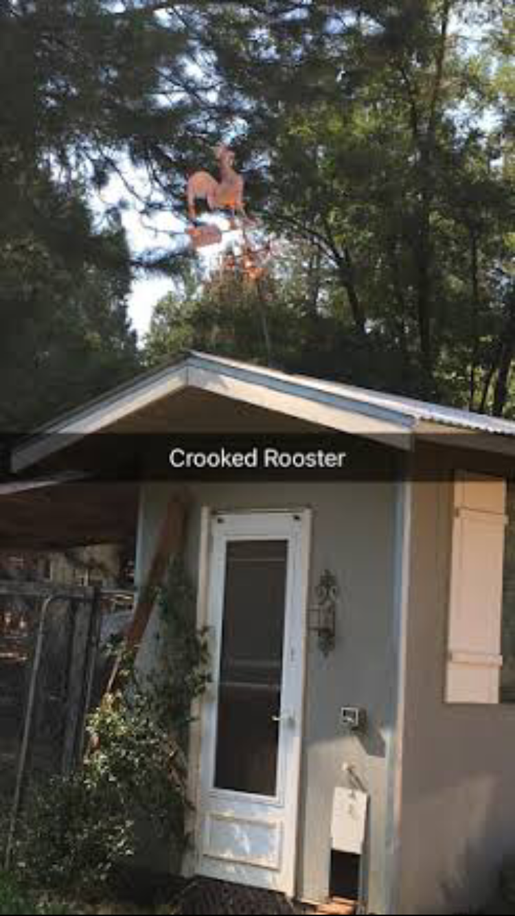 Crooked Rooster Homestead... | BackYard Chickens - Learn How to Raise ...
