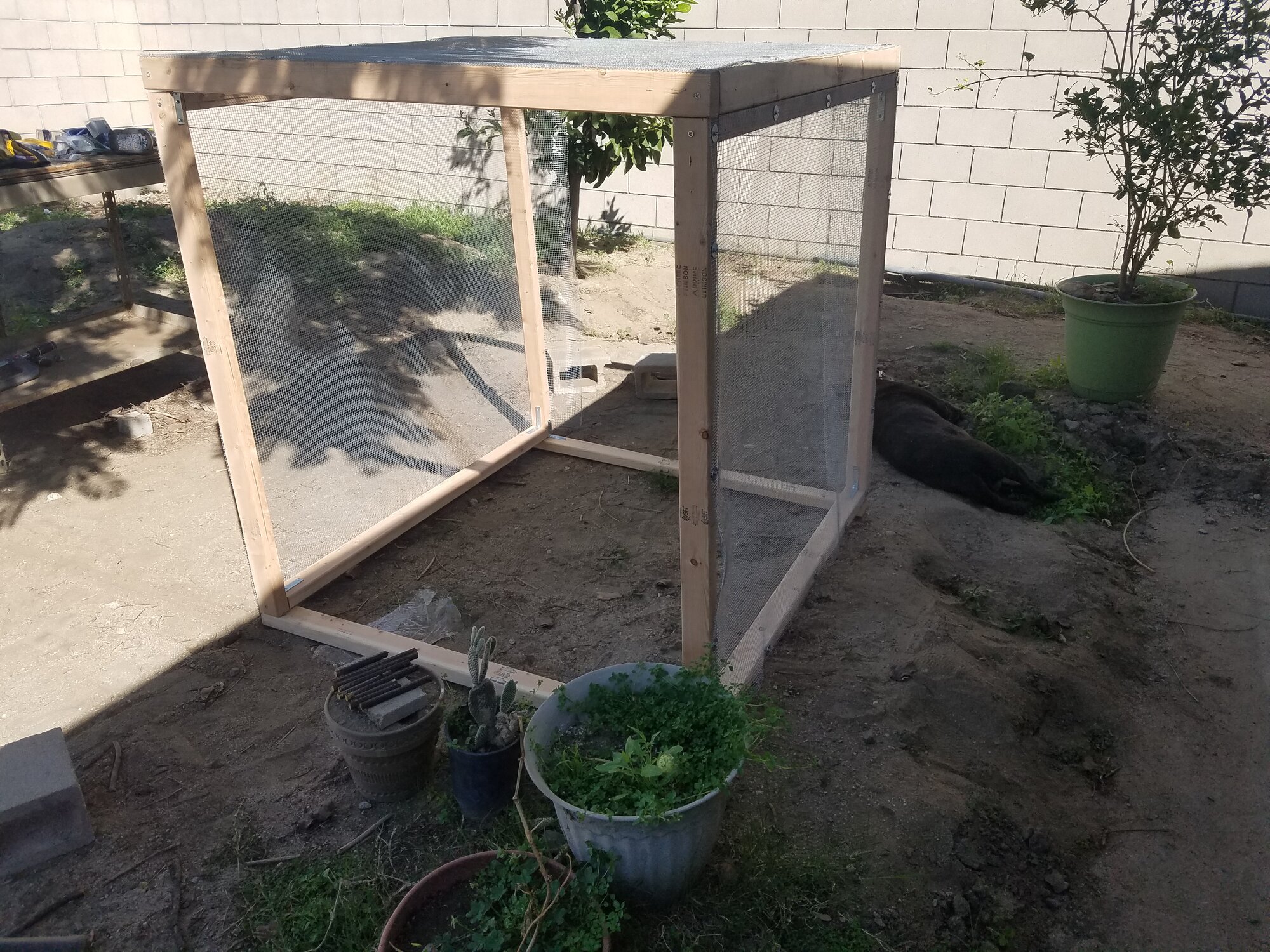 Cube Chicken Coop | BackYard Chickens - Learn How to Raise Chickens