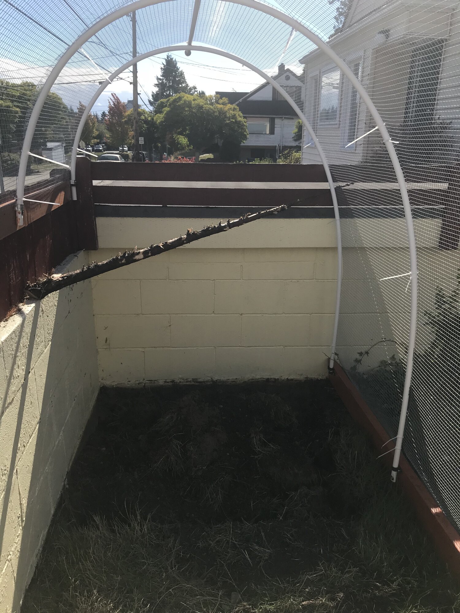 Deep Litter Method in the Small City Part 1: The Beginning Fall 2018 ...