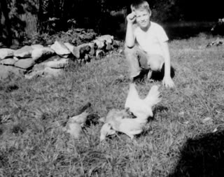 Digitss Page | BackYard Chickens - Learn How to Raise Chickens