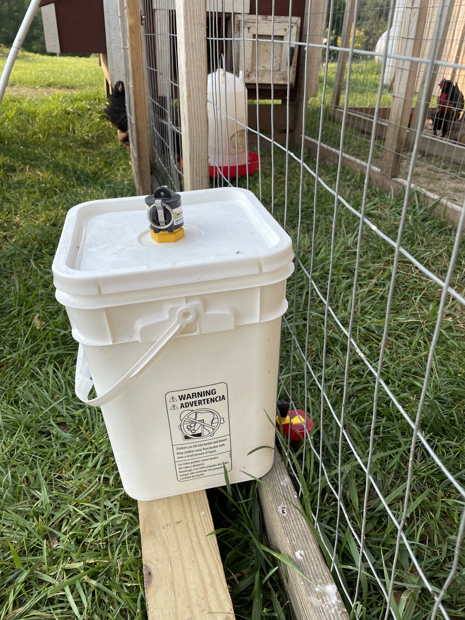 Easy fill water fount | BackYard Chickens - Learn How to Raise Chickens
