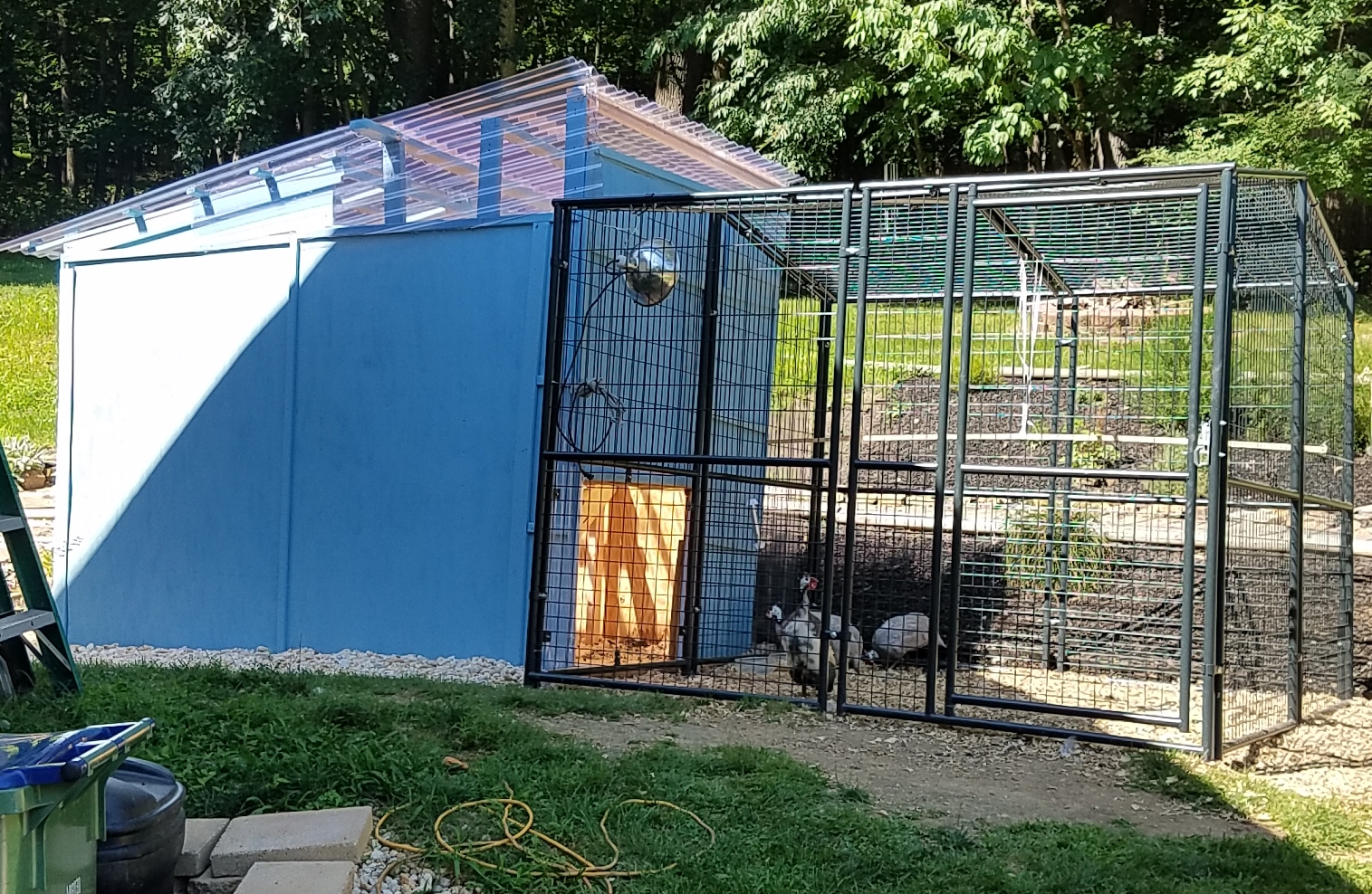 Finally finished | BackYard Chickens - Learn How to Raise Chickens