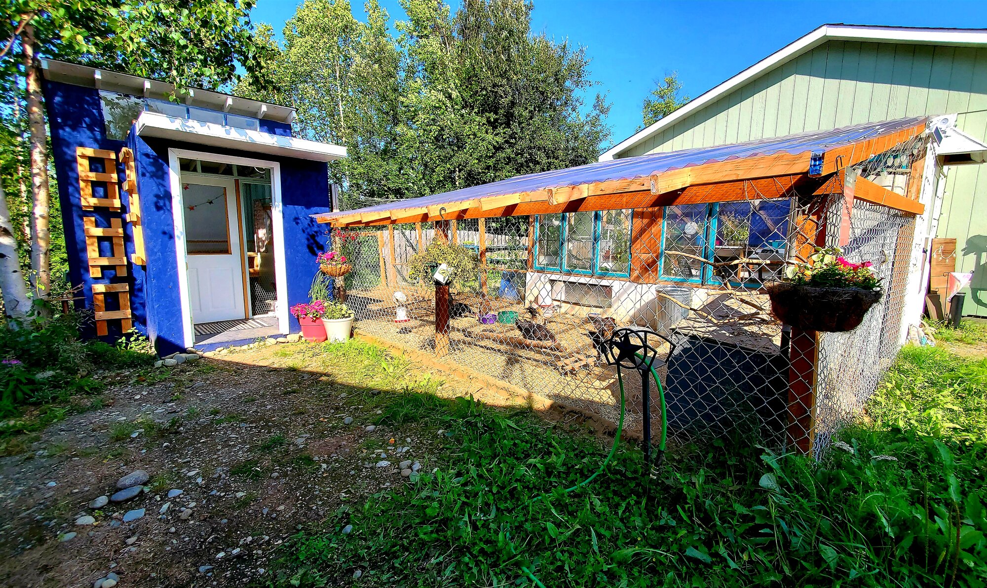 First Lady Manor | BackYard Chickens - Learn How to Raise Chickens