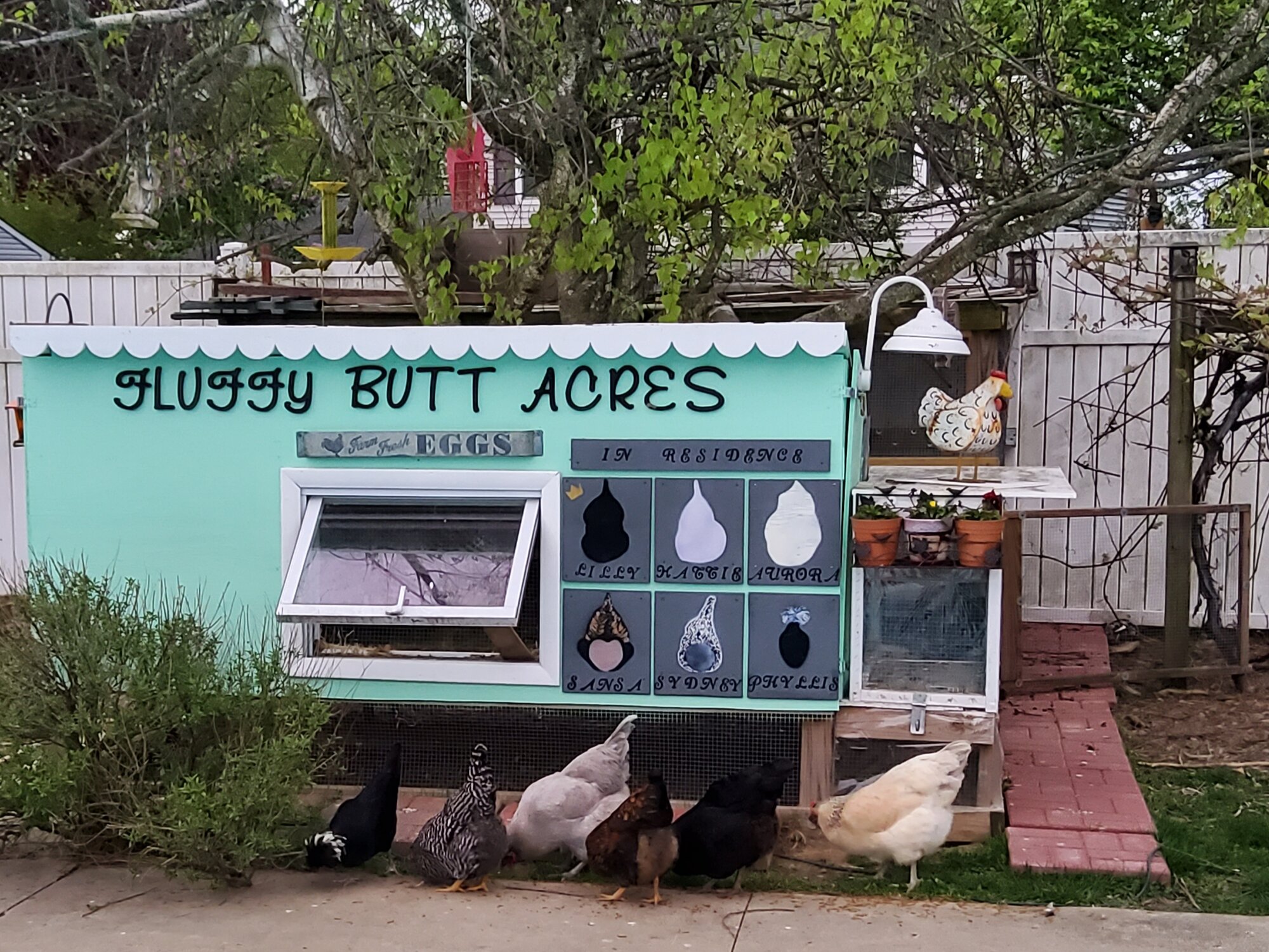 Fluffy Butt Acres: The Coop | BackYard Chickens - Learn How to Raise ...