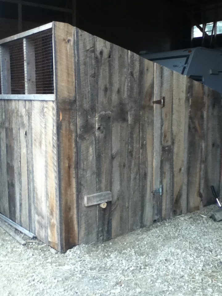 Fowl Play | BackYard Chickens - Learn How to Raise Chickens