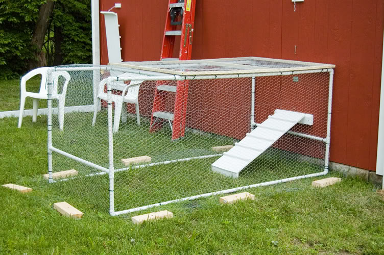 Garden Run | BackYard Chickens - Learn How to Raise Chickens