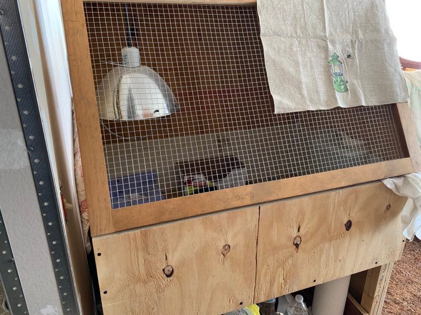 Garden shed / chicken coop | Brooder | BackYard Chickens - Learn How to ...