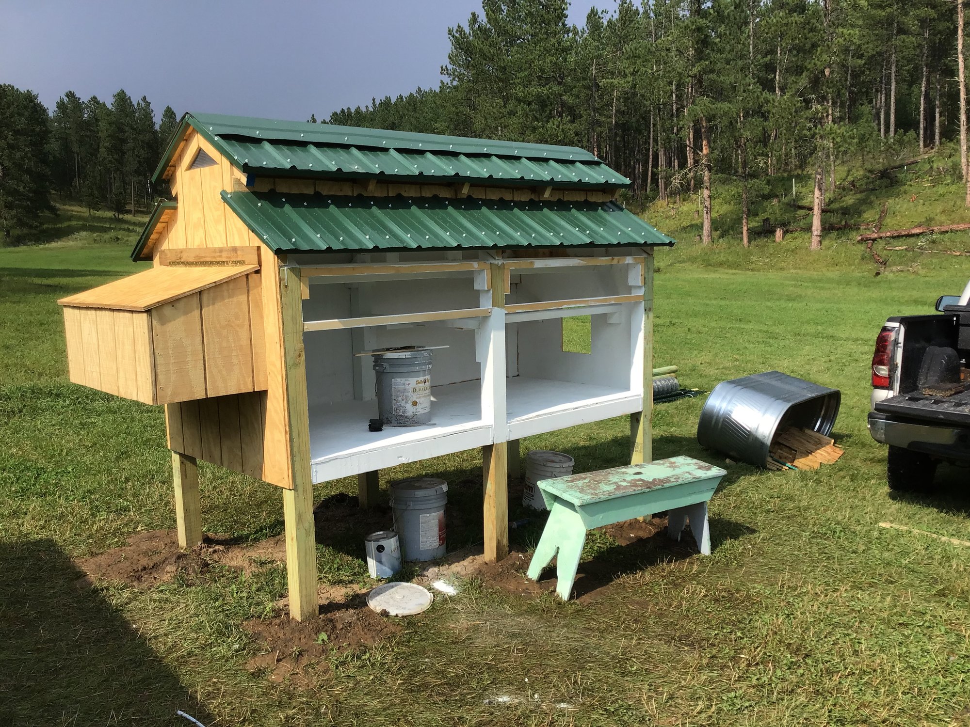 Hillbilly ChicksI | BackYard Chickens - Learn How to Raise Chickens