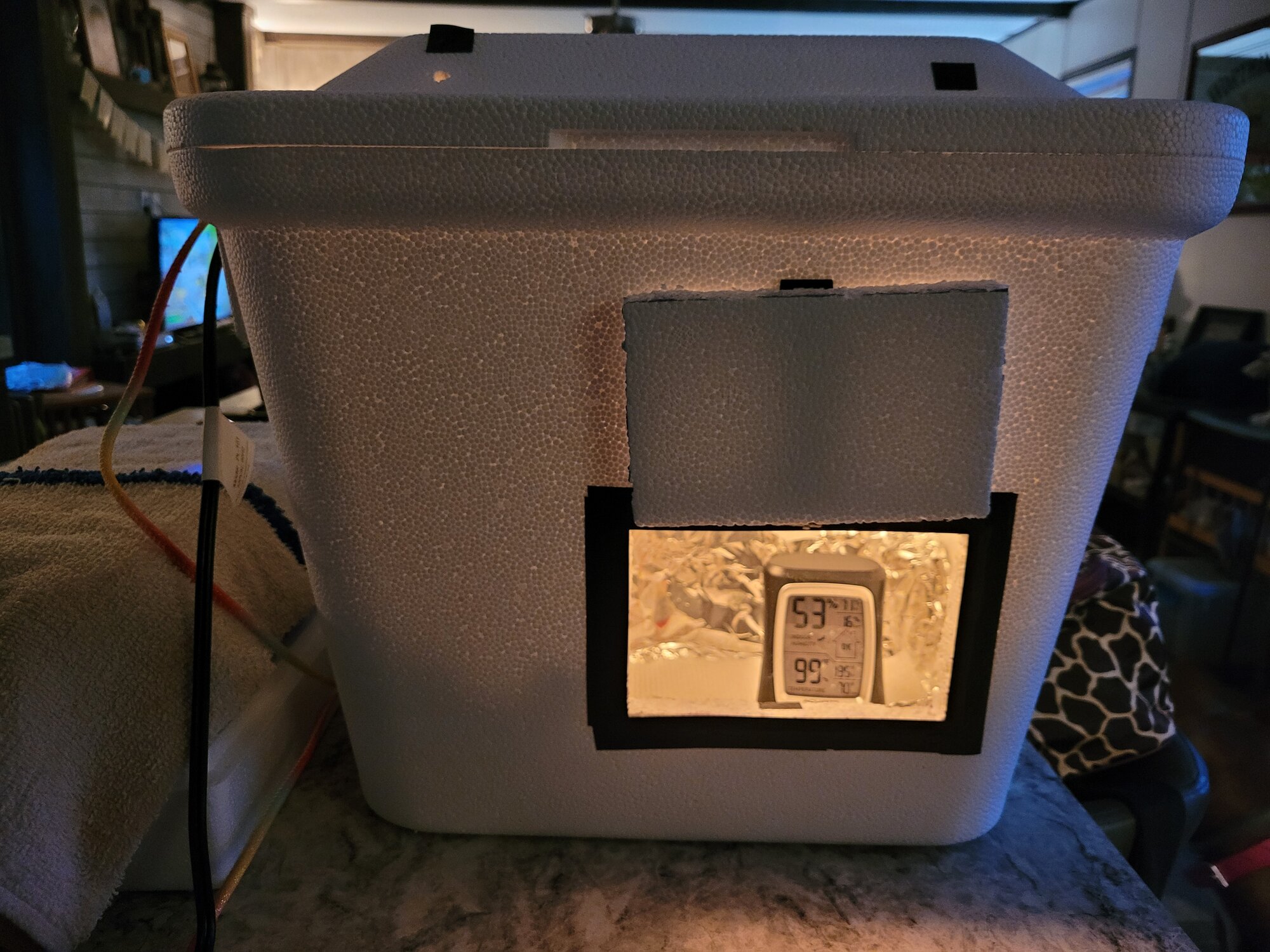 Homemade Styrofoam cooler incubator | BackYard Chickens - Learn How to ...