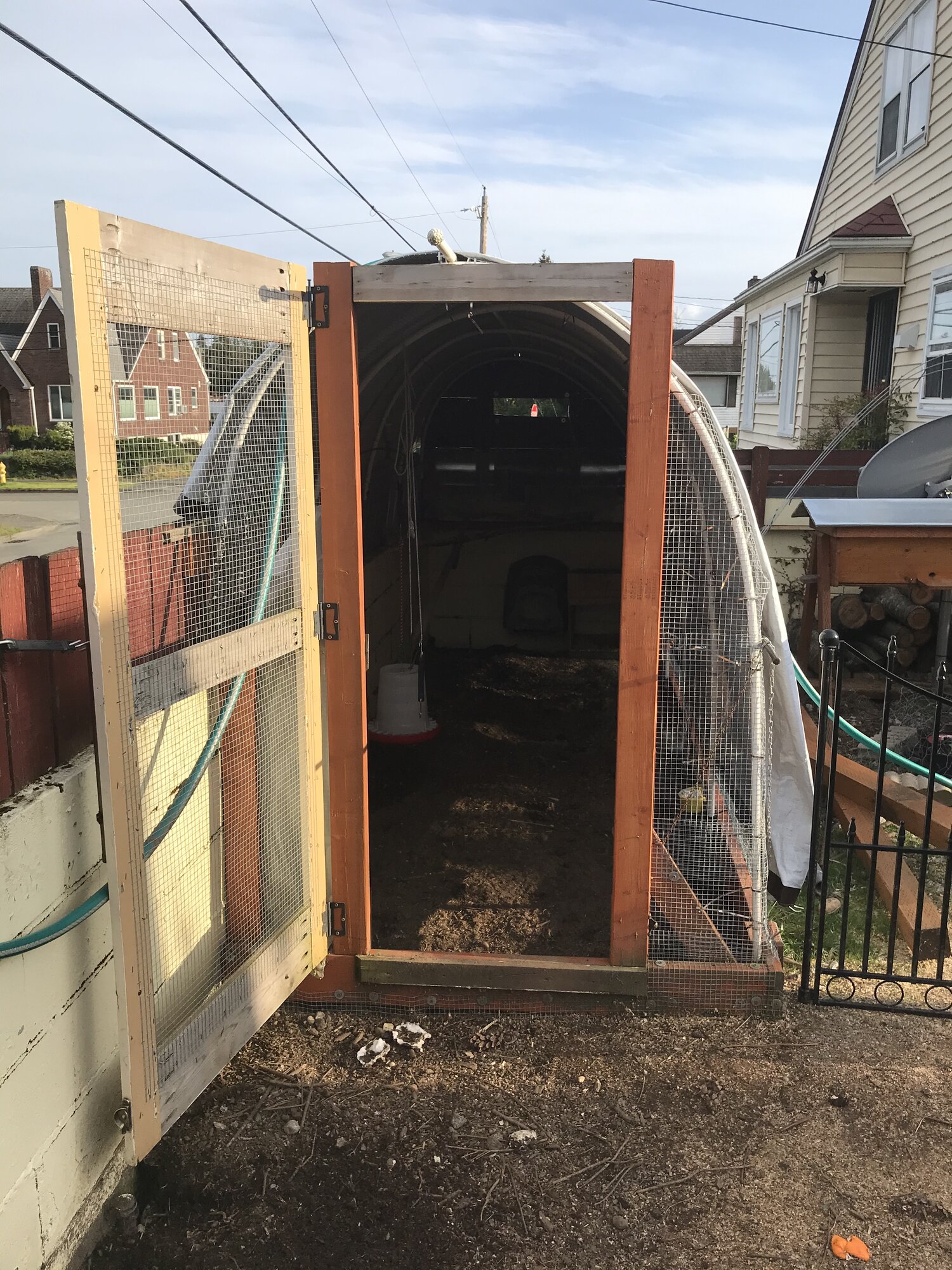 HooYah, Cheep Sea! | BackYard Chickens - Learn How to Raise Chickens