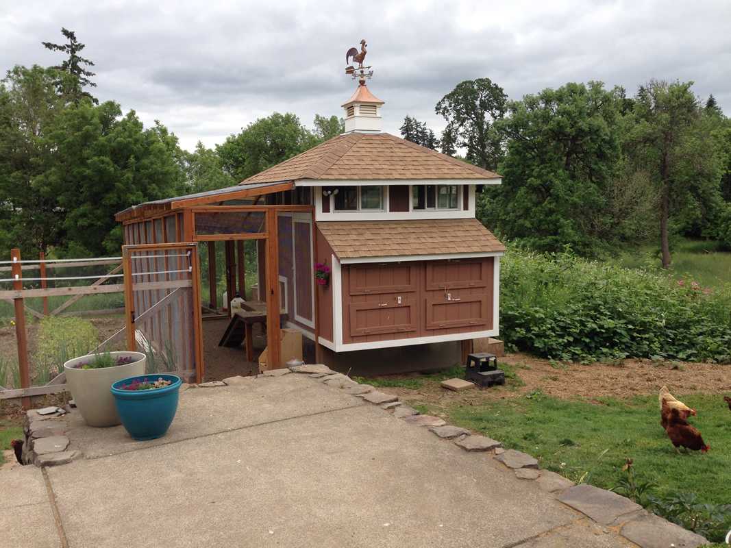le palais de poulet (the Chicken Palace) | BackYard Chickens - Learn ...