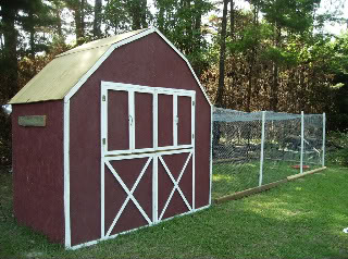 Little Red Barn | BackYard Chickens - Learn How to Raise Chickens