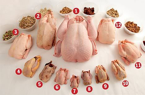 Meat Birds | BackYard Chickens - Learn How to Raise Chickens