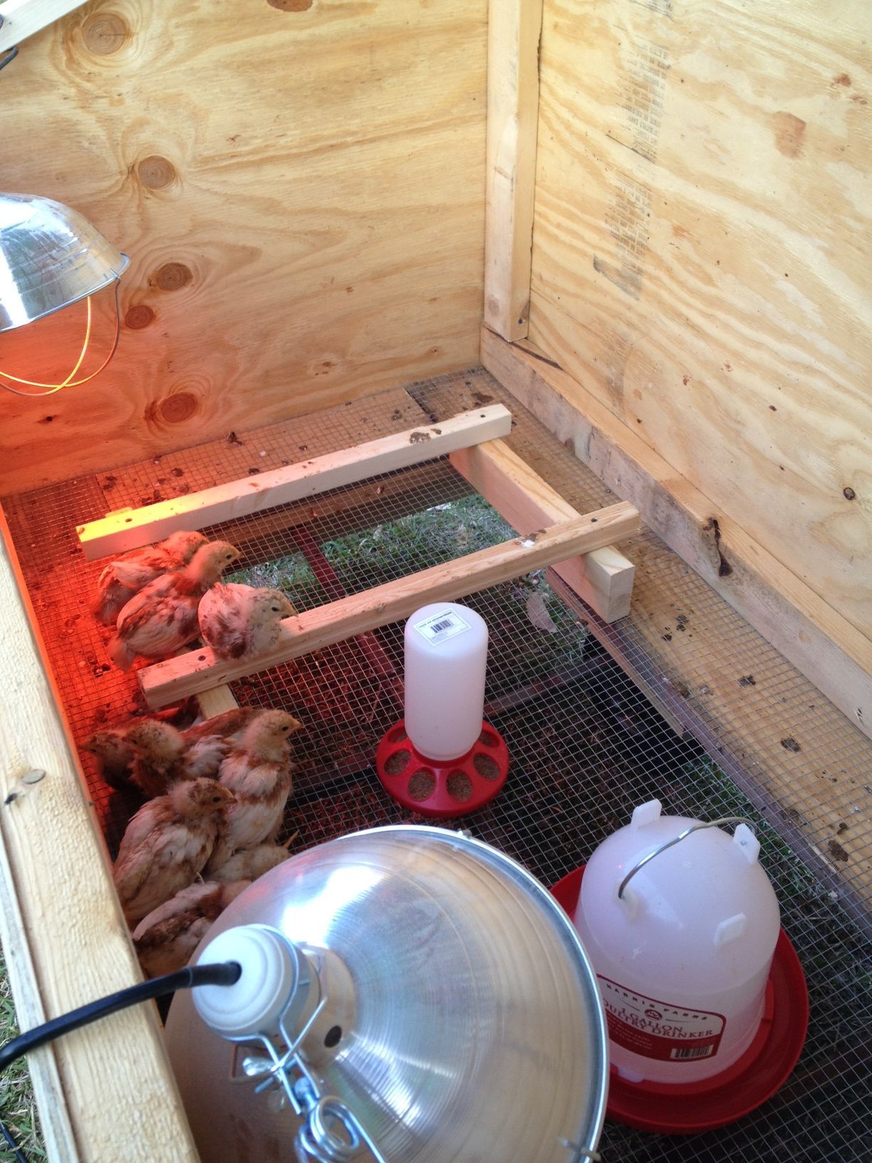 mobile brooder | BackYard Chickens - Learn How to Raise Chickens