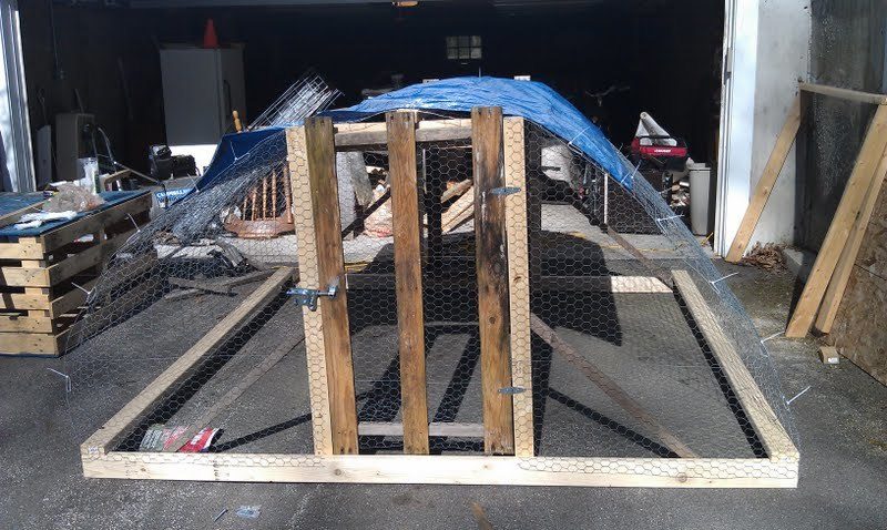 Mobile Turkey Coop | BackYard Chickens - Learn How to Raise Chickens