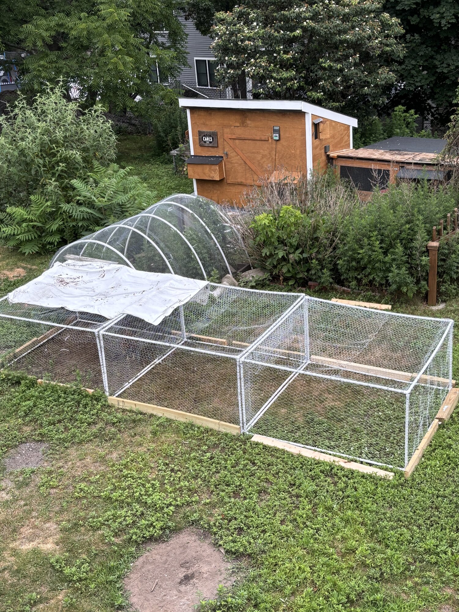 Modular PVC playgrounds | BackYard Chickens - Learn How to Raise Chickens