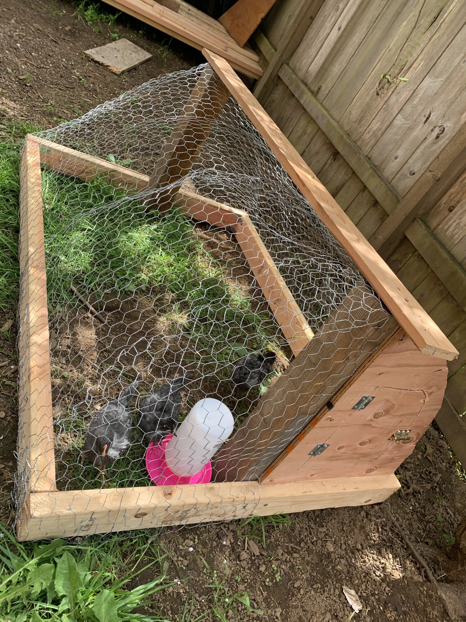 Movable Mini Run | BackYard Chickens - Learn How to Raise Chickens