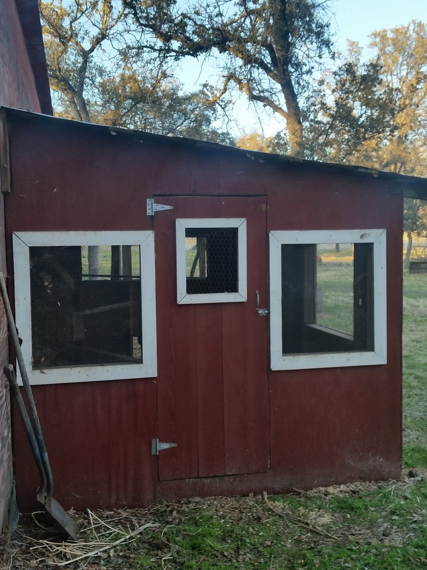 Ms Biddy's Little Red Chicken House | BackYard Chickens - Learn How to ...