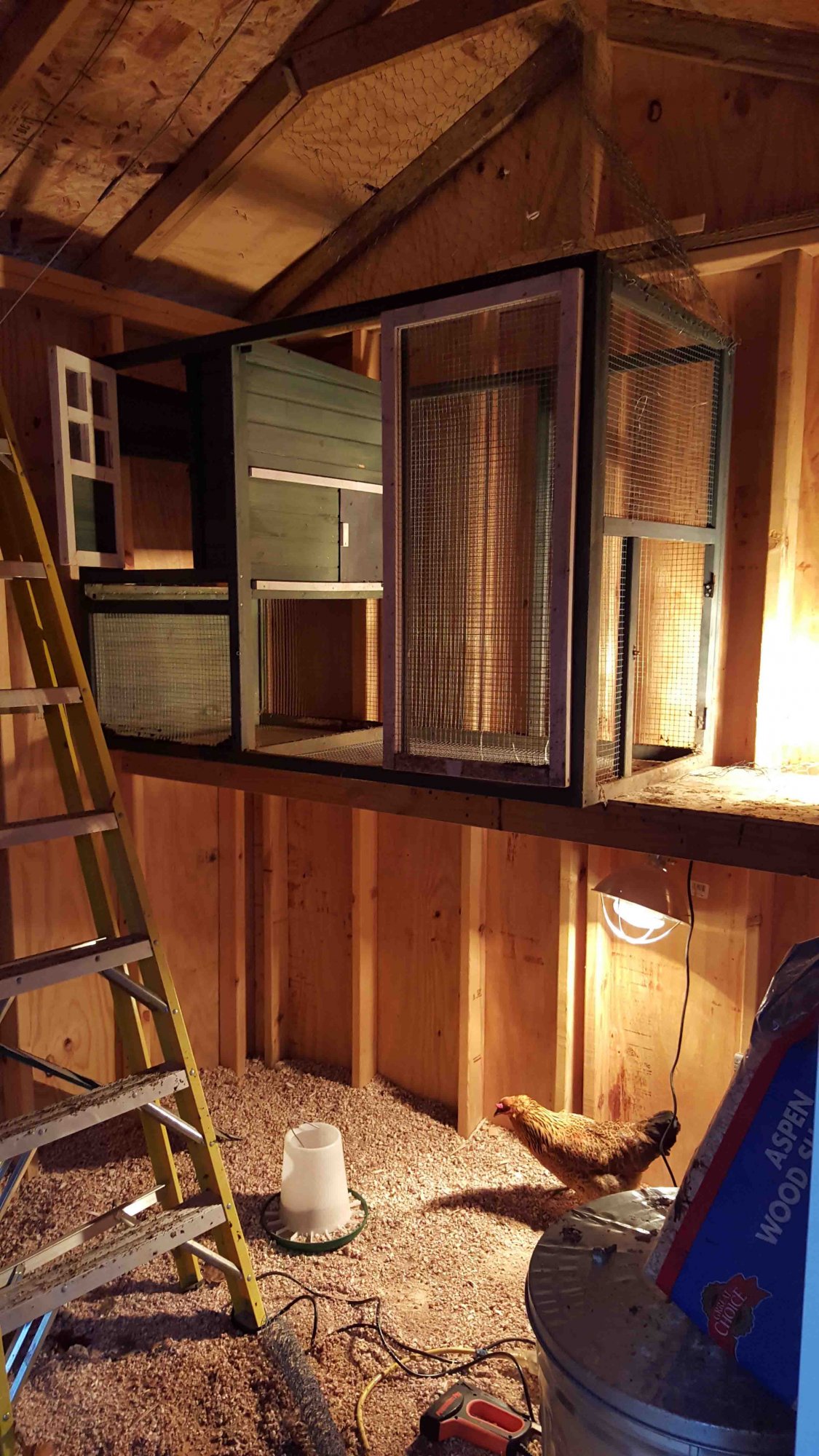 My Evansvile Indiana "Coop d'Villa" | BackYard Chickens - Learn How to ...