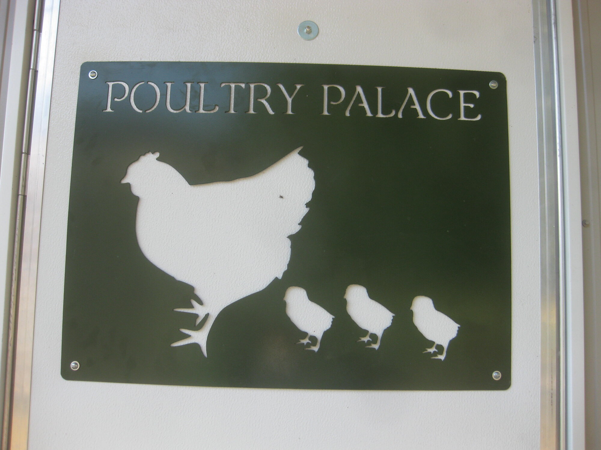 My Poultry Palace | BackYard Chickens - Learn How to Raise Chickens