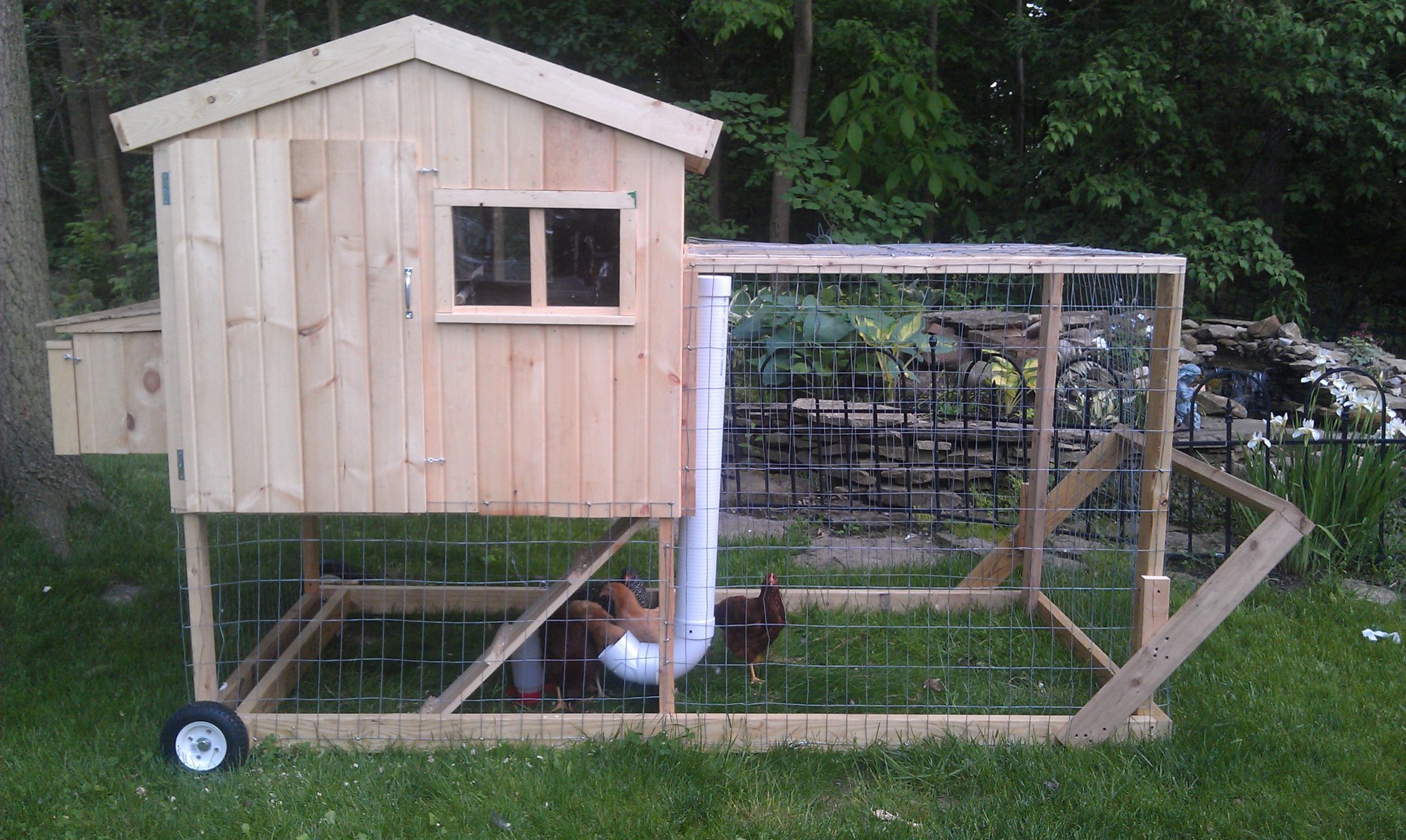 North Central Ohio Urban Chix | BackYard Chickens - Learn How to Raise ...