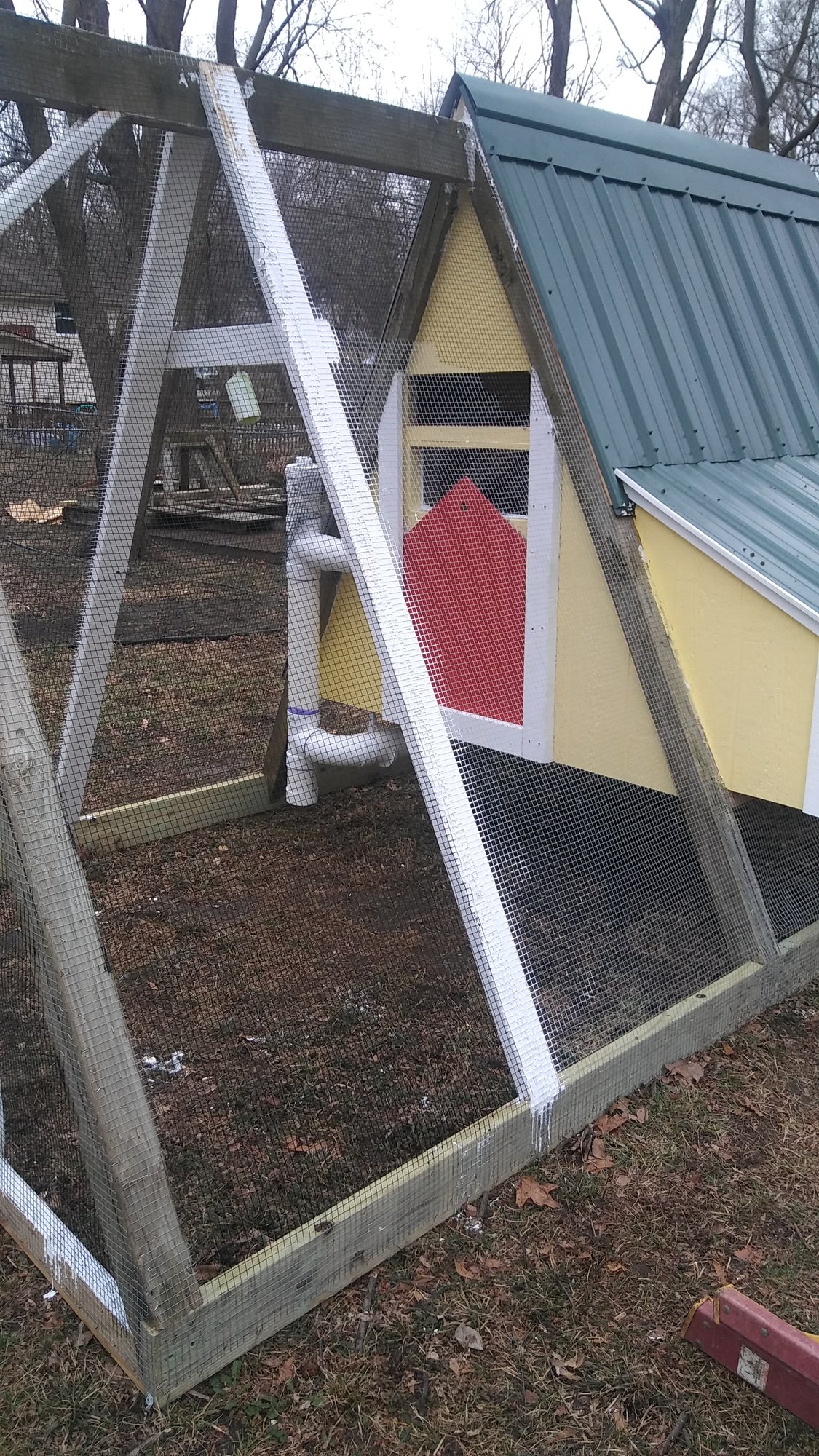 Our Coop Backyard Chickens Learn How To Raise Chickens