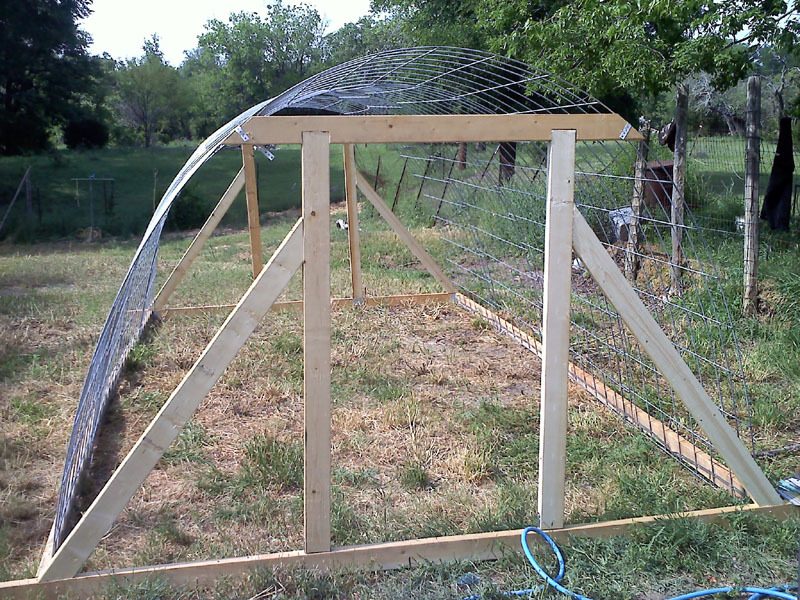 Our Hoop Coops Backyard Chickens Learn How To Raise Chickens
