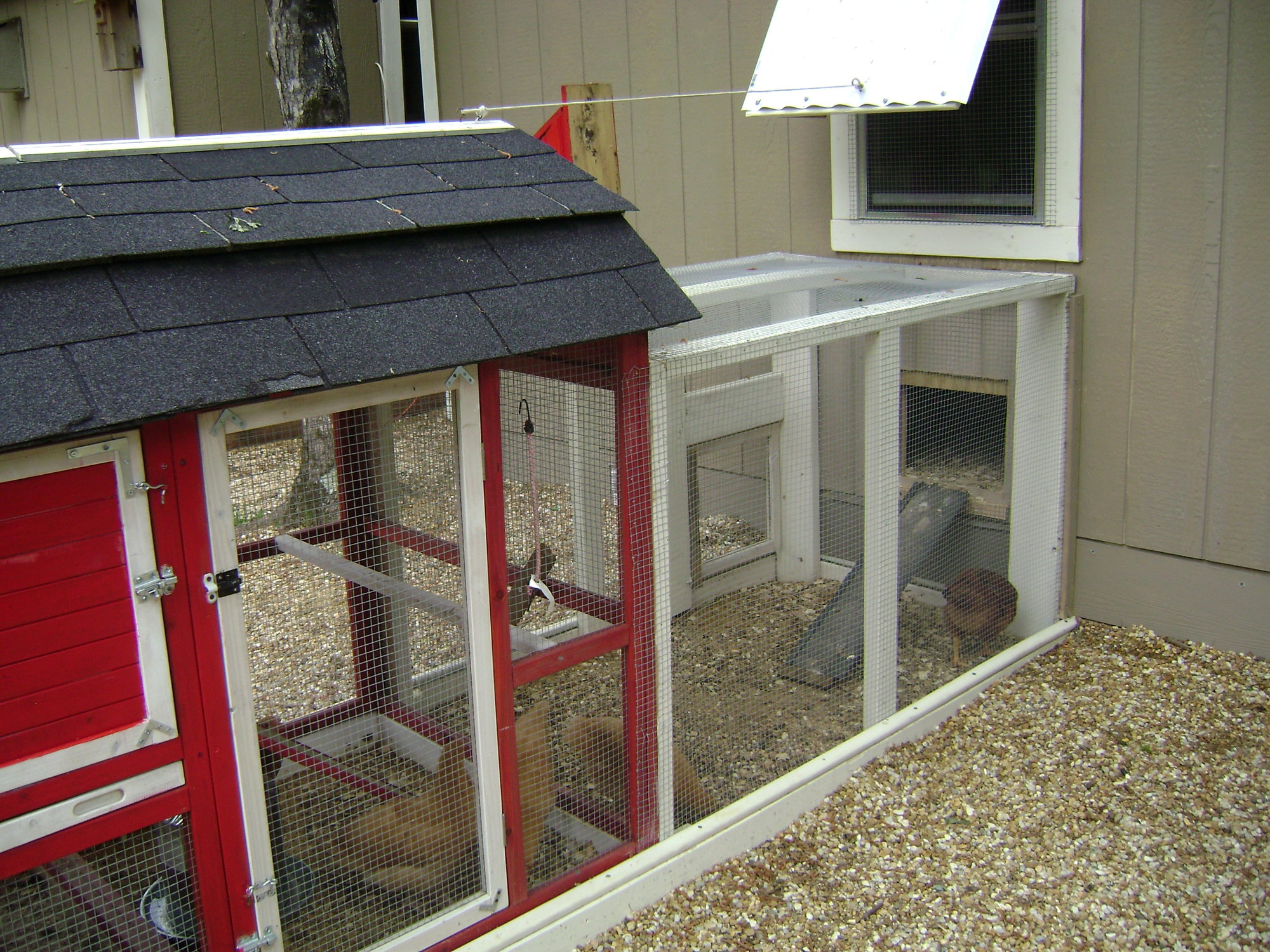 our little red barn | BackYard Chickens - Learn How to Raise Chickens