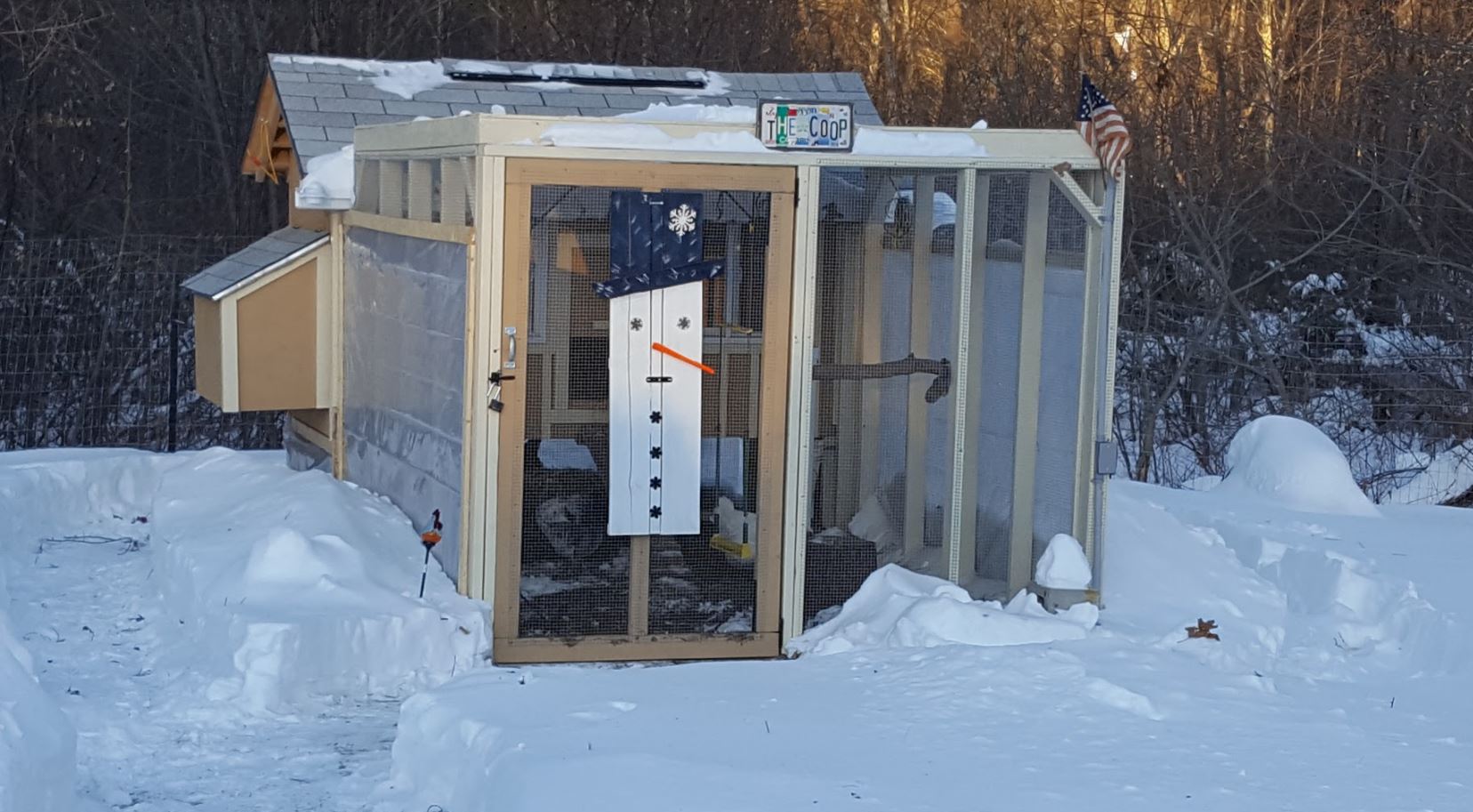 Preparing the girls for winter | BackYard Chickens - Learn How to Raise ...