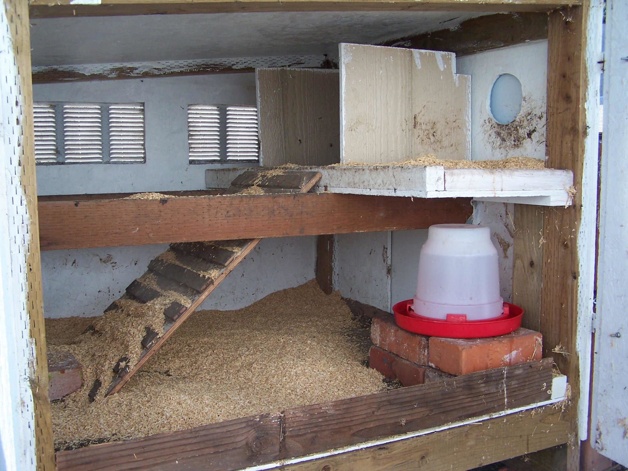 Proper Coop Hygiene | BackYard Chickens - Learn How to Raise Chickens