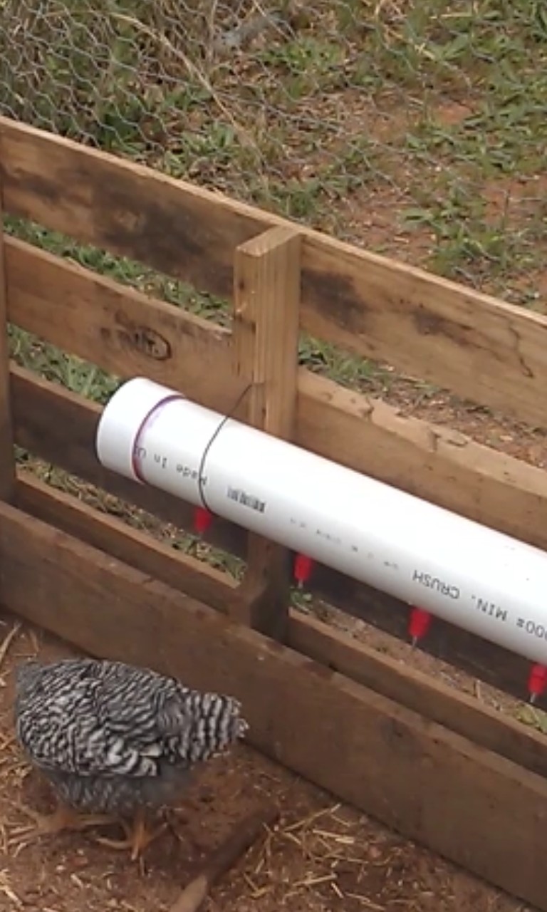 PVC waterers and feeders | BackYard Chickens - Learn How to Raise Chickens