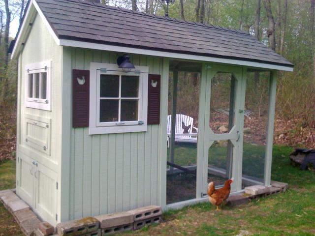 Rankars Chick Mansion Coop | BackYard Chickens - Learn How to Raise ...