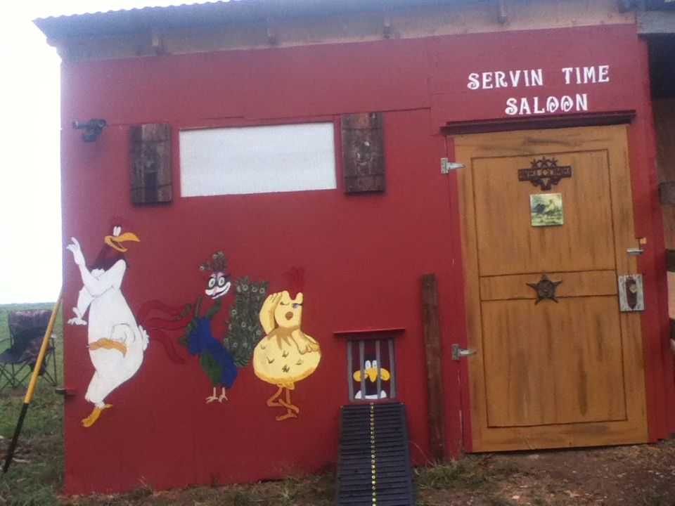 Servin Time Saloon | BackYard Chickens - Learn How to Raise Chickens