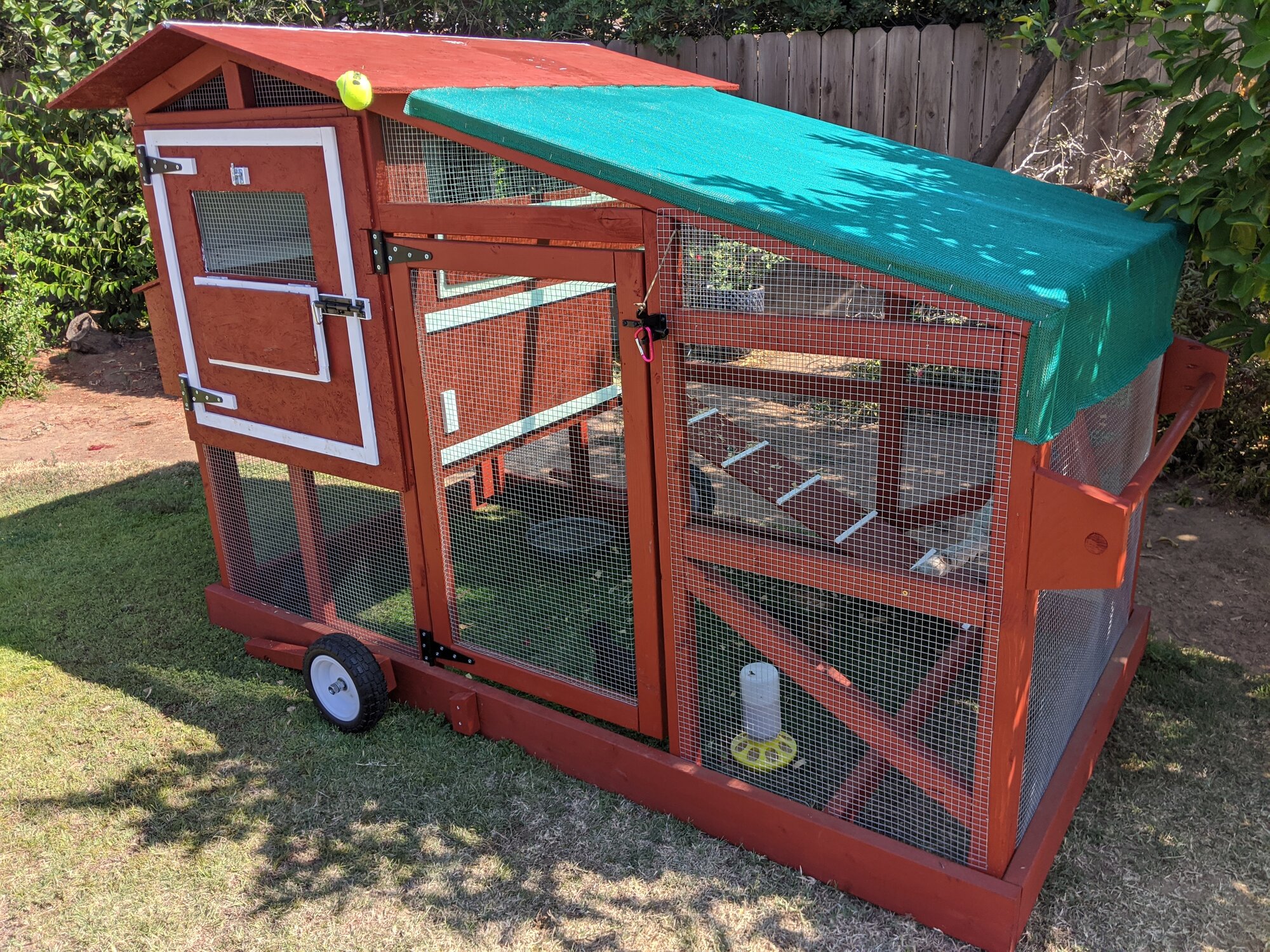 The Big Red Chicken Tractor (w/plans) | BackYard Chickens - Learn How ...