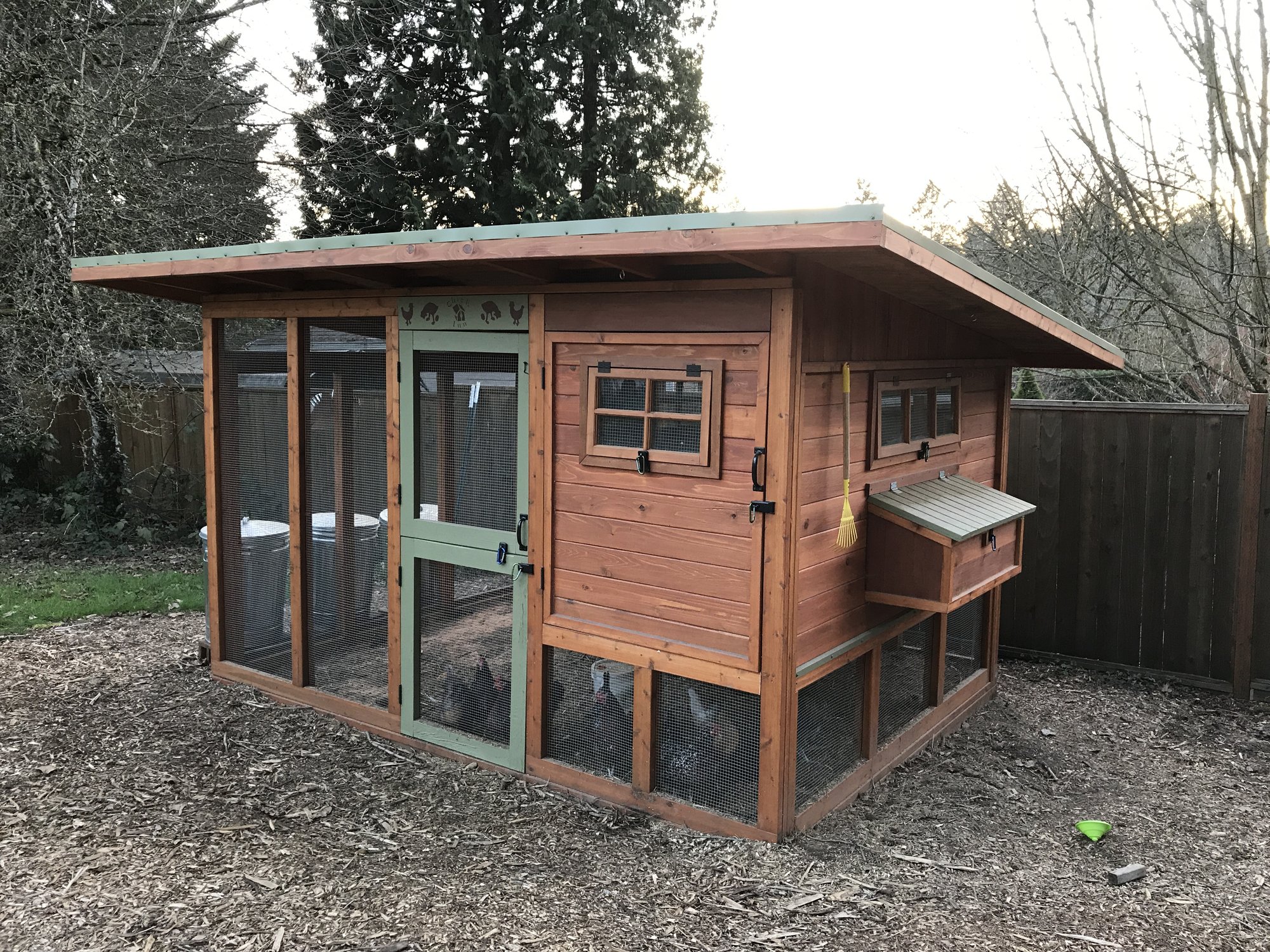 The Chick Inn | BackYard Chickens - Learn How to Raise Chickens