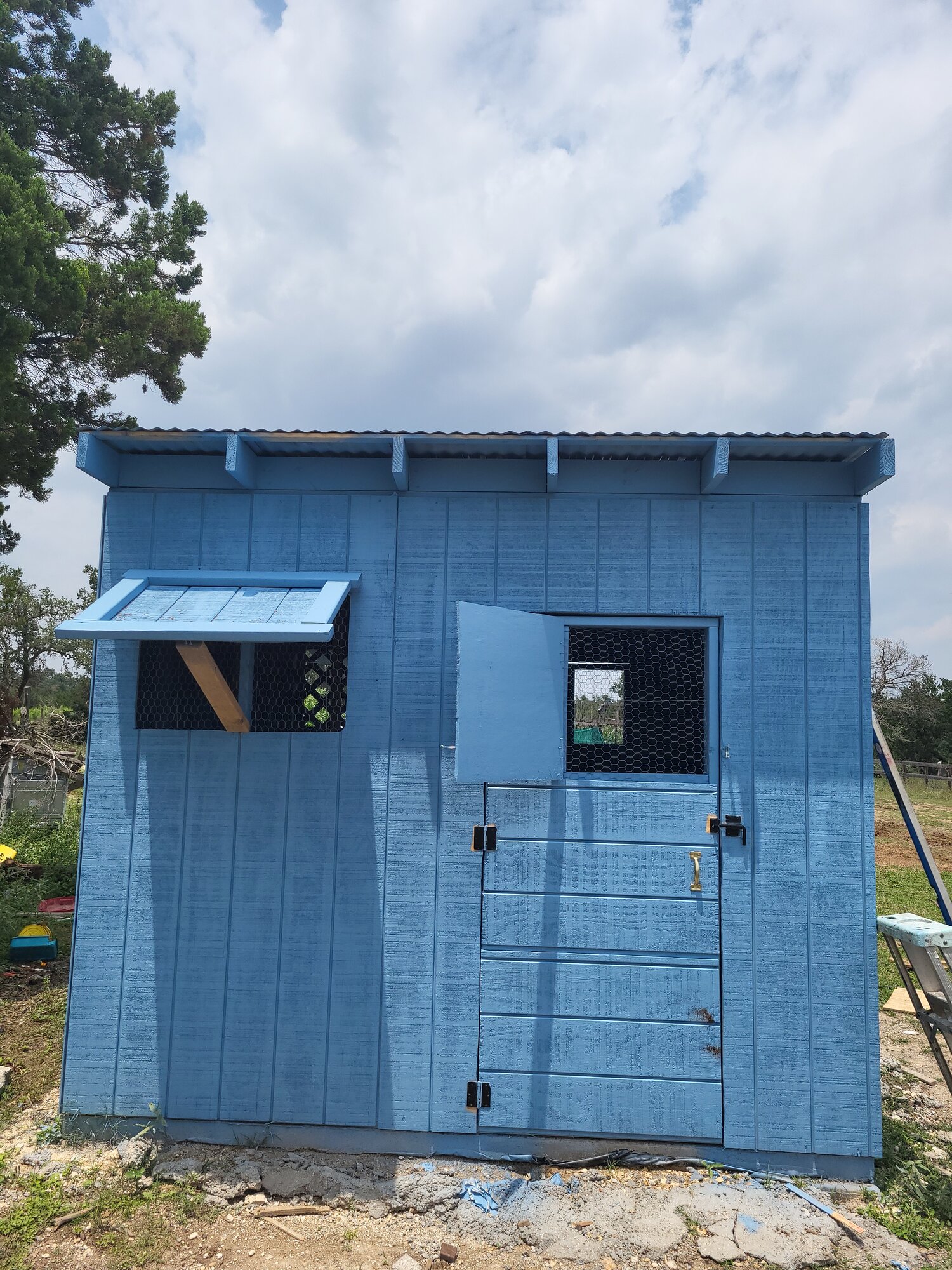 The Chicken Box | BackYard Chickens - Learn How to Raise Chickens